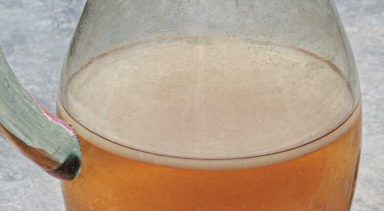 Essig selber machen – mit Essigmutter | kochlust